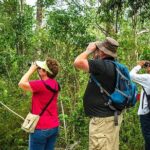 Private Tour: Birdwatching Cozumel Island - Authentic Experiences and Expert Guides