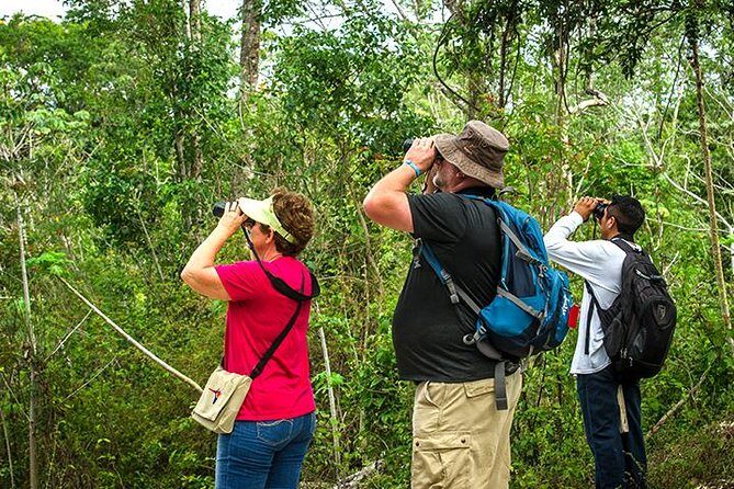 Private Tour: Birdwatching Cozumel Island - Authentic Experiences and Expert Guides