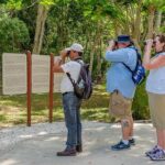 Private Tour: Birdwatching Playa del Carmen - What to Expect During the Tour