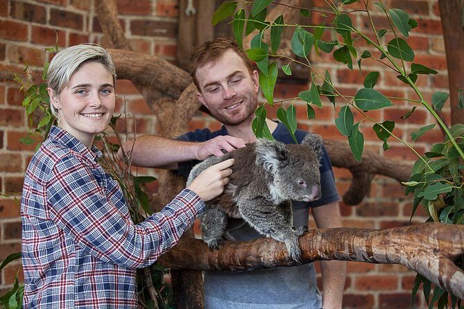 Private Tour: Blue Mountains Day Trip from Sydney - What Sets This Tour Apart