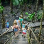 Private Tour Cozumel your way Jeep 4x4 up to 4 People - Pricing & Value Analysis