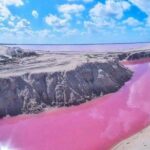 Private Tour: Ek Balam, Pink Flamingos Sanctuary and Tequila Tasting Factory - Analyzing the Value