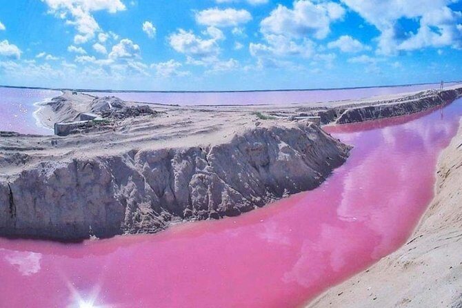 Private Tour: Ek Balam, Pink Flamingos Sanctuary and Tequila Tasting Factory - Analyzing the Value