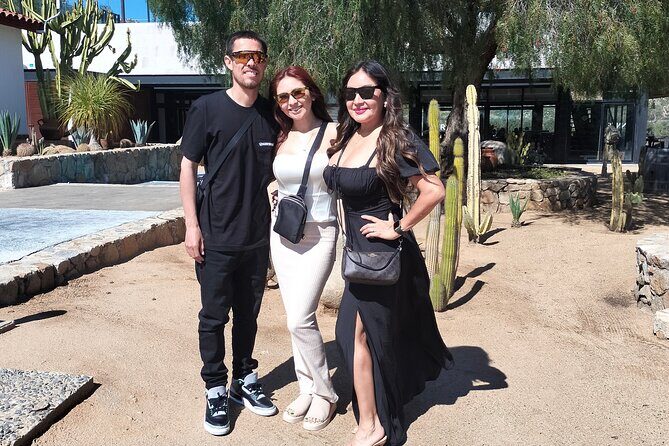 Private Tour EN Valle DE Guadalupe for 5 - 7 passengers - An In-Depth Look at the Tour Experience