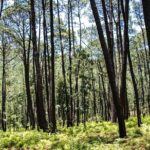 Private Tour for a Day of Adventure in Mazamitla Pueblo Mágico - What the Tour Includes (and What It Doesn’t)