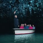 Private tour from Auckland - Waitomo Glowworm Caves, Zealong Tea & Kiwi Bird - What Makes This Tour Stand Out?