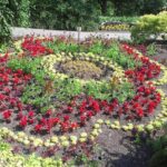 Private Tour: Gardens of Vancouver - Who Should Consider This Tour?