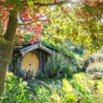 Private Tour - Hobbiton Movie Set & Te Puia (Rotorua) - Who Is This Tour Best Suited For?