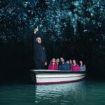Private Tour: Hobbiton & Waitomo Glowworm Cave Experience - Transportation and Overall Comfort