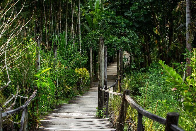 Private Tour: Hot spings & Sleeping Giant Garden hiking Adventure - What You Can Expect From the Tour