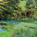 Private Tour: Hunua Falls, Blue Springs & Mclaren waterfall - Why This Tour Works Well