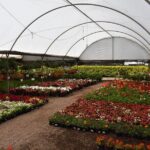 Private Tour in Atlixco and Chipilo from Puebla - Discovering Chipilo: The Italian Corner of Puebla