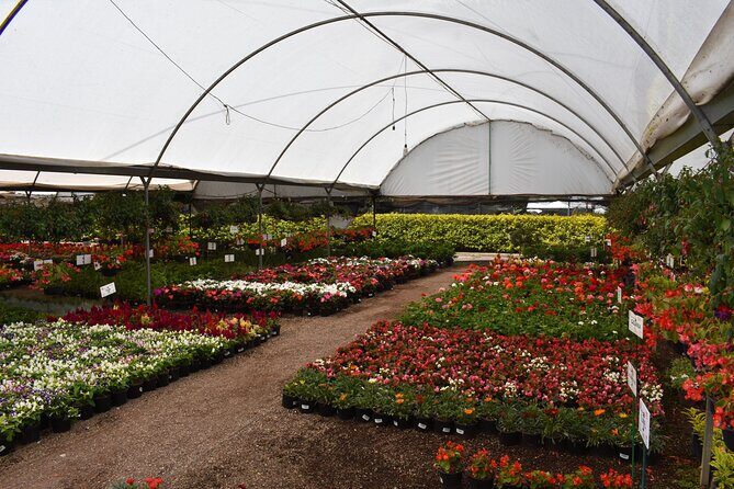 Private Tour in Atlixco and Chipilo from Puebla - Discovering Chipilo: The Italian Corner of Puebla