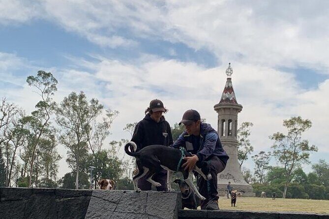 Private Tour in Chapultepec and Museum of Anthropology - Final Thoughts: Is This Tour Right for You?