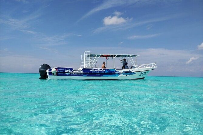 Private Tour in Cozumel El Cielo Sandbar and Reef Snorkeling - What’s Included and What to Keep in Mind