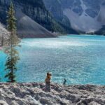 Private Tour Lake Louise & Moraine Lake - Discovering the Beauty of Lake Louise & Moraine Lake