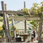 Private tour - Matakana Art & Wine Village - Why This Tour Works: An In-Depth Look