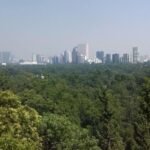 Private Tour Museum of Anthropology and Chapultepec Castle. - The Transport and Guide Experience