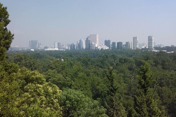 Private Tour Museum of Anthropology and Chapultepec Castle. - The Transport and Guide Experience