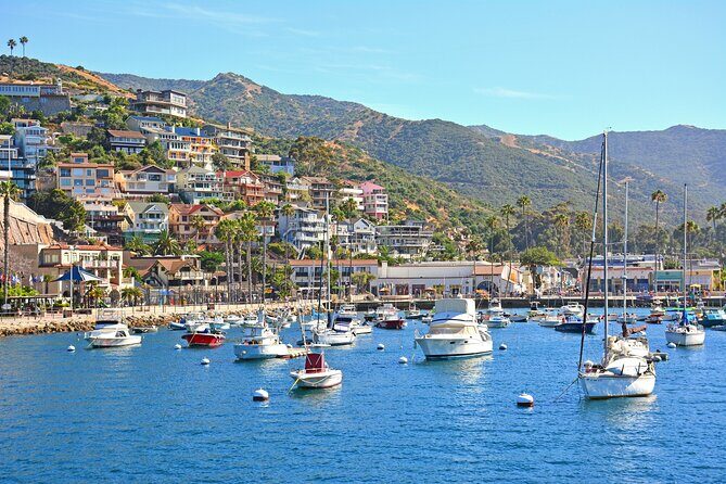 Private Tour of Avalon from Catalina Island - Final Thoughts