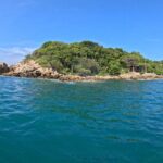 Private Tour of the Beaches of Puerto Escondido in Lancha - Snorkeling and Marine Life Encounters