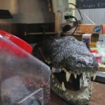 Private Tour of the Market Routes of Mexico City - Authentic Insights from Reviewers