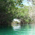 Private tour of Tulum Archaeological Site & Sian Ka'an Muyil - Tasting Authentic Mexican Tacos