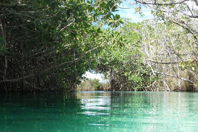 Private tour of Tulum Archaeological Site & Sian Ka'an Muyil - Tasting Authentic Mexican Tacos