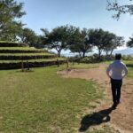 Private Tour one day in Guachimontones and La Fortaleza Distillery - Discovering Guachimontones: A Unique Archaeological Wonder