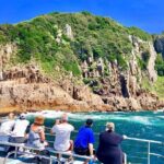 Private tour: Port Stephens, departing Newcastle - Whales! - The Sum Up: Is This Tour Worth It?
