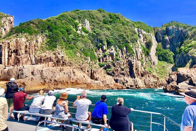 Private tour: Port Stephens, departing Newcastle - Whales! - The Sum Up: Is This Tour Worth It?