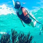 Private Tour Reefs and Corals Puerto Morelos Snorkel Lunch - Authentic Experiences and Hidden Gems