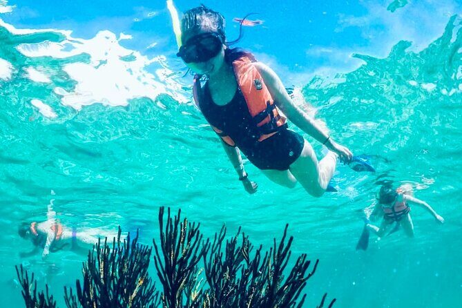 Private Tour Reefs and Corals Puerto Morelos Snorkel Lunch - Authentic Experiences and Hidden Gems