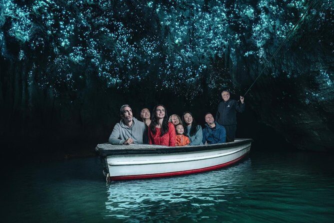 Private Tour: Rotorua and Waitomo Caves Day Trip from Auckland - What Reviewers Say