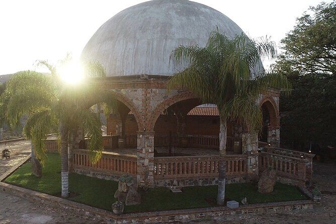 Private Tour Route Elaboration of Tequila in Guadalajara - Practical Details & What to Expect