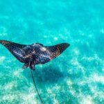 Private tour - Sian Ka´an Adventure - Who Would Love This Tour?