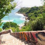 Private Tour to Carrizalillo Mirador Turtles and Release Turtles - What We Love About This Tour