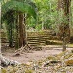 Private Tour to Chacchoben Mayan Ruins & beach - The Itinerary Breakdown