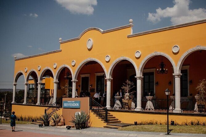 Private Tour to Distillery Tequila Ocho and Arandas - The Itinerary in Detail