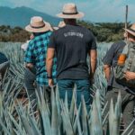 Private Tour to El Tequileño Distillery and visit to Tequila - What’s Included & What’s Not