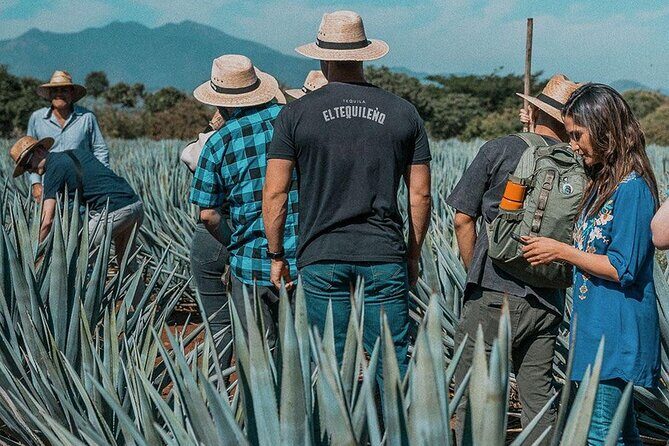 Private Tour to El Tequileño Distillery and visit to Tequila - What’s Included & What’s Not