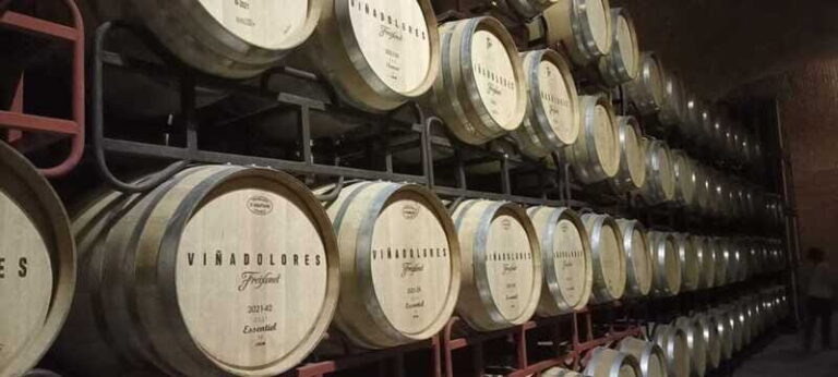 Private tour to Peña de Bernal & Freixenet Winery from CDMX - In-Depth Look at the Tour Experience