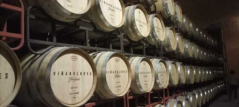 Private tour to Peña de Bernal & Freixenet Winery from CDMX - In-Depth Look at the Tour Experience