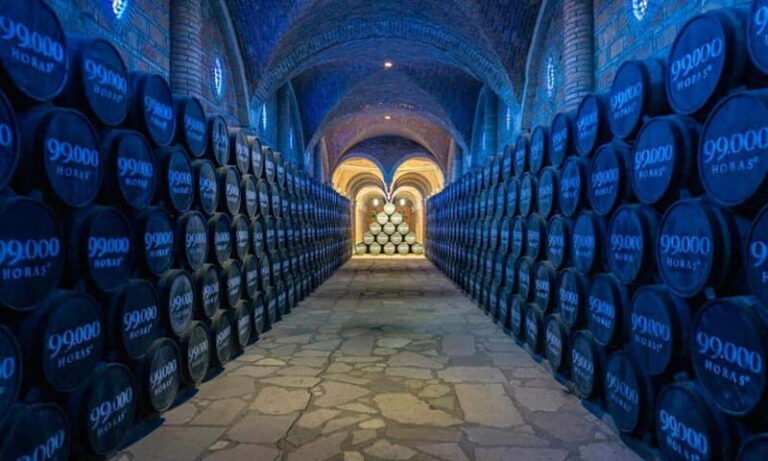 Private Tour to Tequilera Corralejo and Piramides Zone - Who Will Love This Tour?