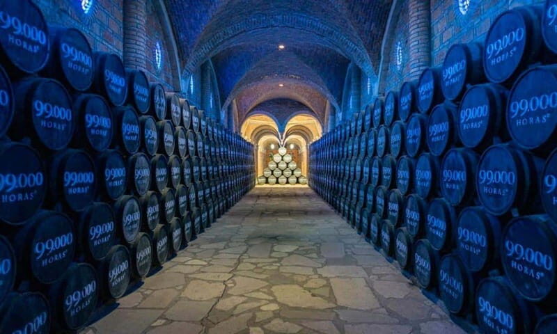 Private Tour to Tequilera Corralejo and Piramides Zone - Who Will Love This Tour?