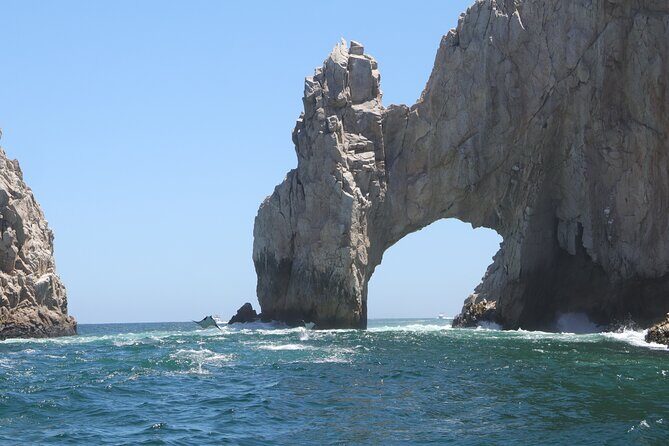 Private Tour to the Arch of Cabo San Lucas by Glass Bottom Boat - The Quality of Guides and Crew