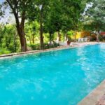 Private Tour to Uxmal & Hacienda Yunku with cenote by Yucatan Concierge - The Cenote Experience: Perfect Refreshment in Nature