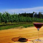 Private Tour: Vancouver Half Day Wine Tasting Tour - The Value of a Private Wine Tour in Vancouver