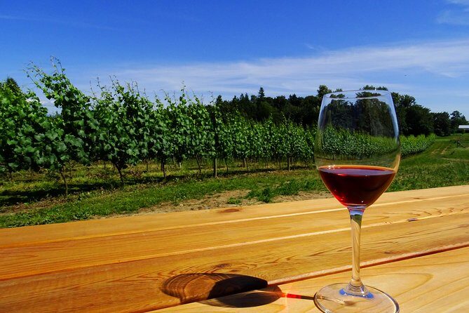 Private Tour: Vancouver Half Day Wine Tasting Tour - The Value of a Private Wine Tour in Vancouver