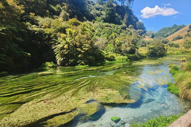 Private Tour WaiOtapu & Huka Falls & Blue springs from Auckland - A Full Breakdown of the Itinerary